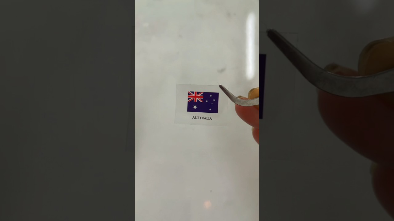 Asmr Peeling national flags sticker #heotamnangshop #satisfying #peeling #peelingsticker #remove