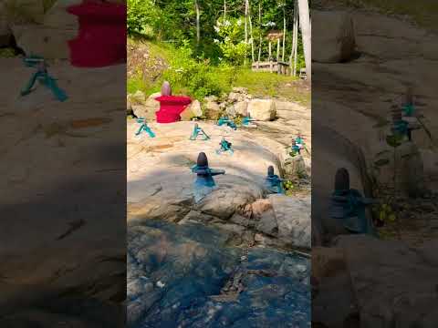 Sivarpanam Montreal | Shivalingam |