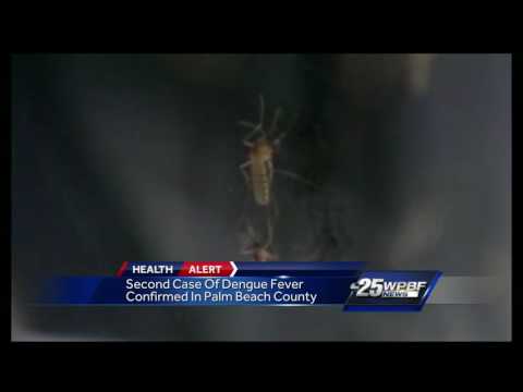 Second case of Dengue Fever confirmed in PBC