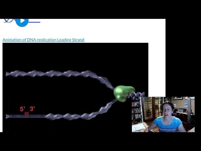 Understanding DNA Replication: The Leading Strand Process | Galaxy.ai