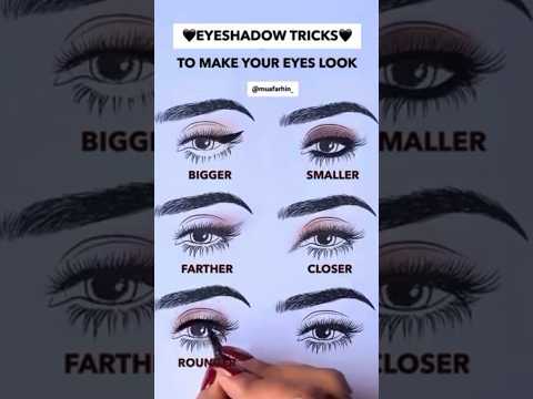 Different types eyeshadow styles ✨📌#tips #facts #hack #eyemakeup #eyeshadow #eyeshadow #beginners