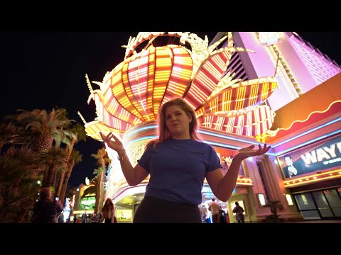 Is Flamingo the Best Cheap Hotel on the Las Vegas Strip? 🦩