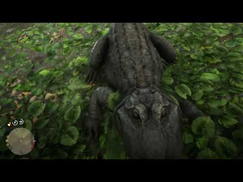 Arthur Morgan - Expert Flower Picker