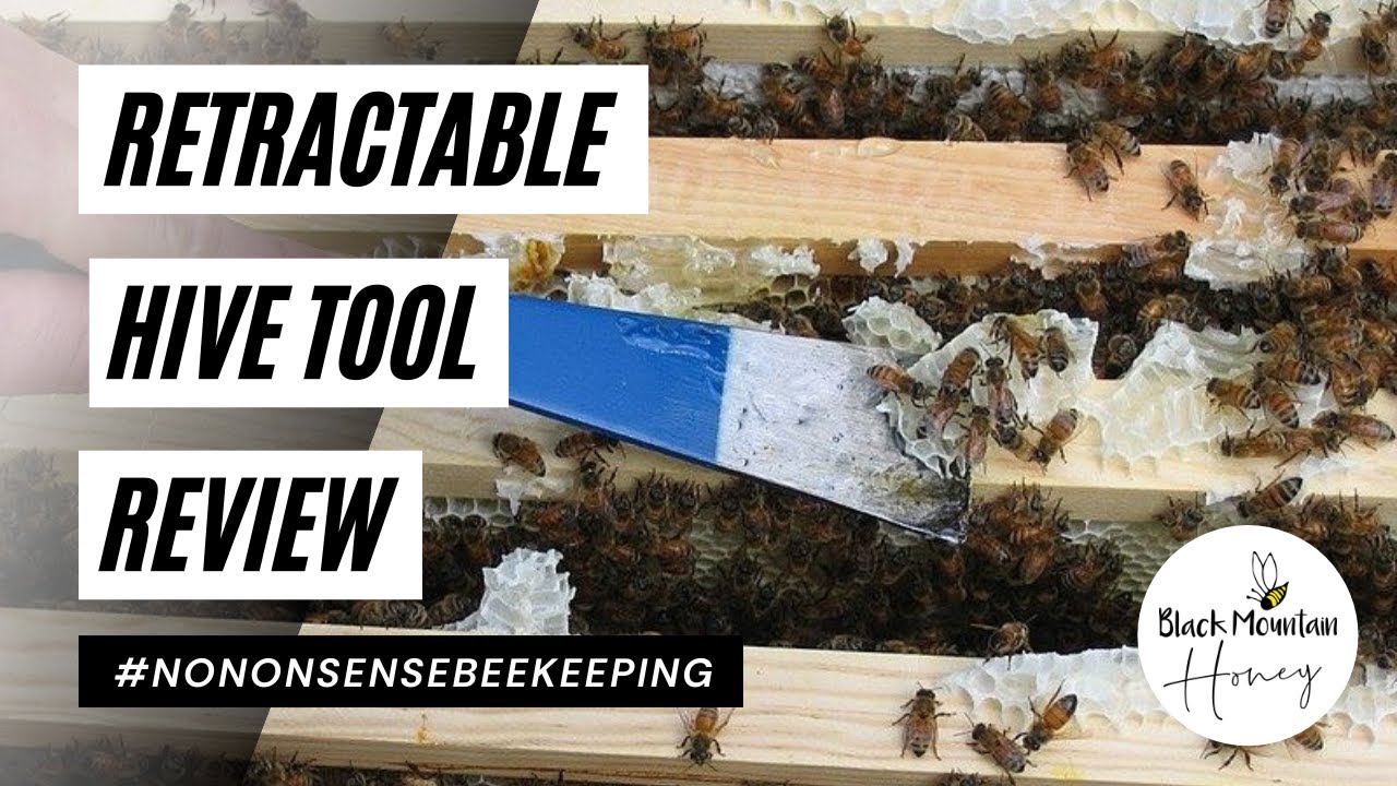 Whats The Best Hive Tool - Retractable Hive Tool Review