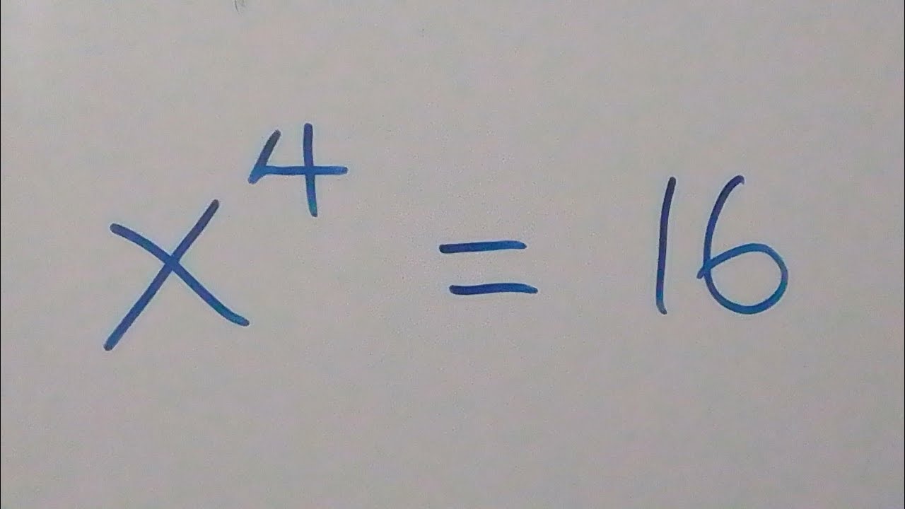 Ukraine | Math Olympiad Problem | The four solutions