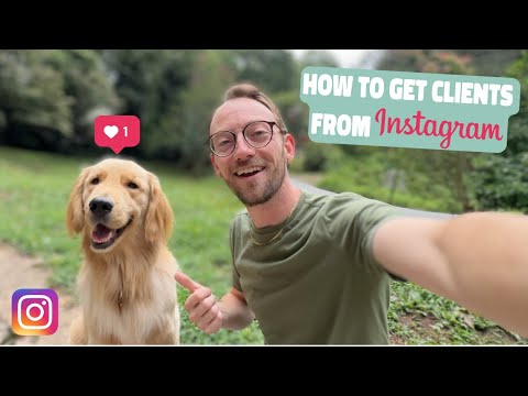 Instagram Hack for Pet Sitters and Dog Walkers!