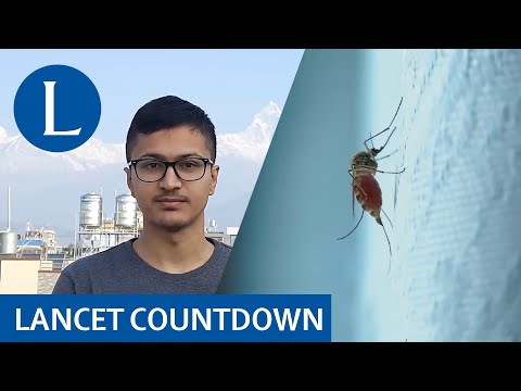 Lancet Countdown 2020: Shashank Timalsina