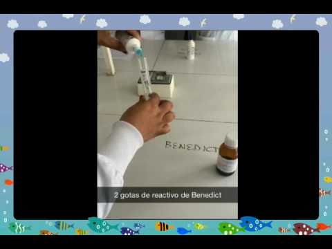 Bioquímica I - Reactivo de Benedict