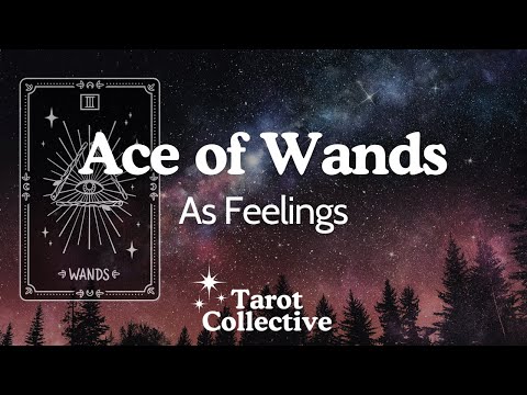 Ace of Wands As Feelings Tarot Card Meaning - Learn Tarot in 5 Minutes