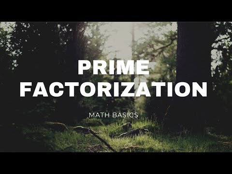 Prime factorization I Prime Numbers I Math Basics I Wonderful Equation