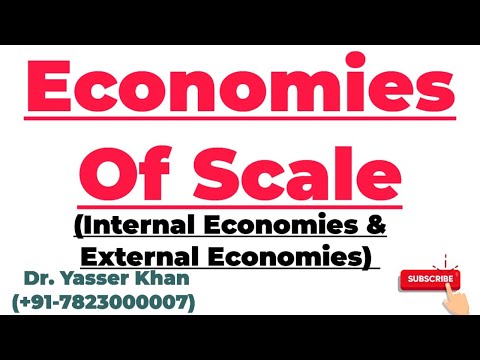 Economies Of Scale | Internal Economies | External Economies | Production Function | Economics