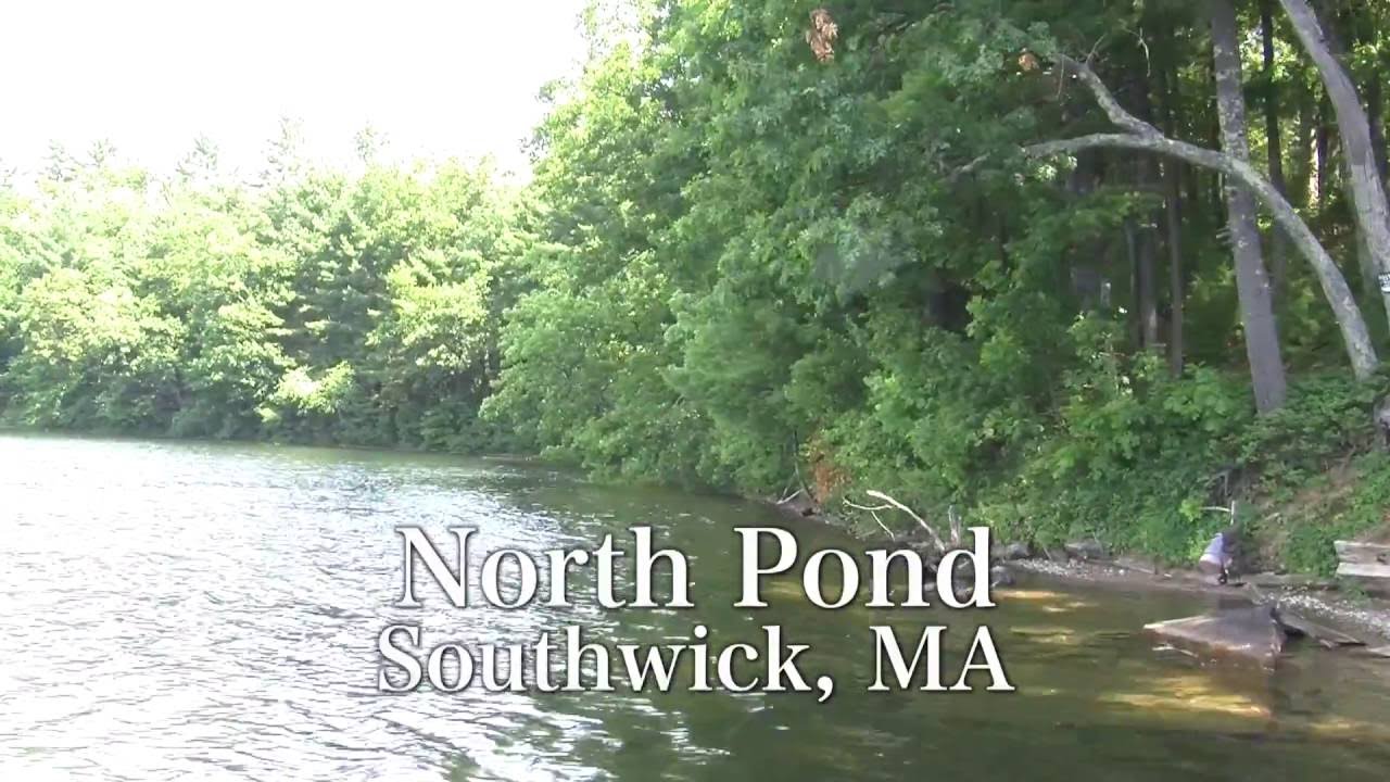 Save North Pond