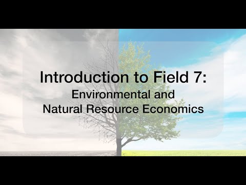 Introduction to Environmental and Natural Resource Economics Courses at Thammasat
