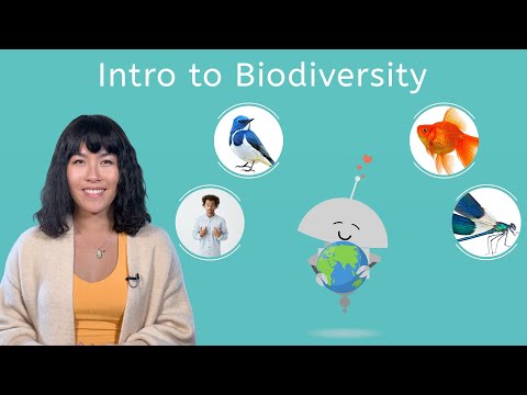 Intro to Biodiversity - What Makes Life Diverse