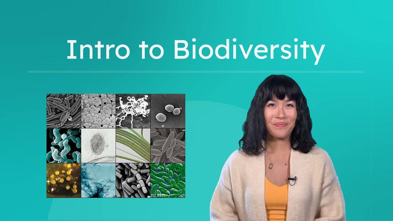 Intro to Biodiversity - What Makes Life Diverse