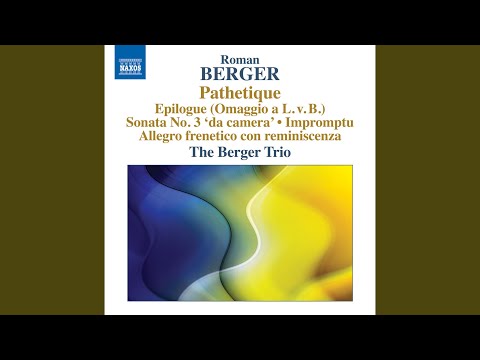Piano Sonata No. 3 "Da camera": II. Allegro deciso