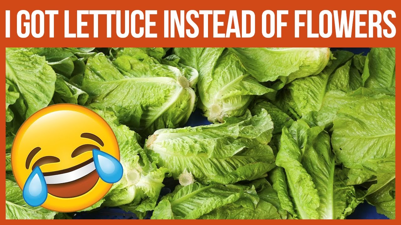 Hilarious Tweets By Women