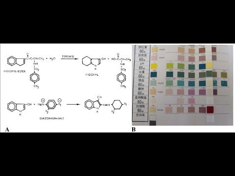 Urine Leukocyte Esterase Test Strips ; Definition, How they Work, Uses, Procedure, Result interprete