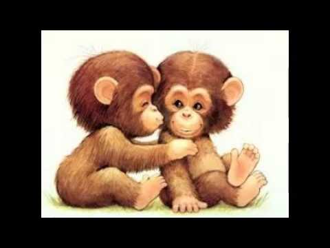 Monkey Cartoon Pictures