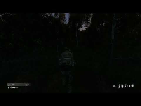 Steam Community :: Video :: DayZ - Night time gameplay