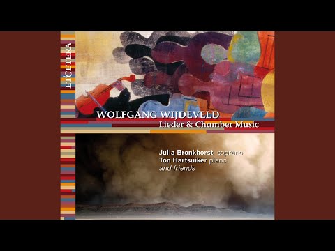 Violin Sonata: I. Allegro precipitoso