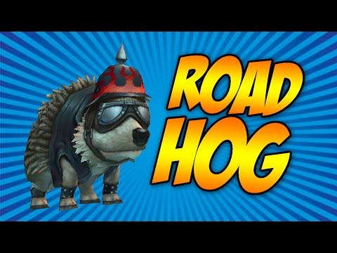 Wizard101: Road Hog Pet Showcase
