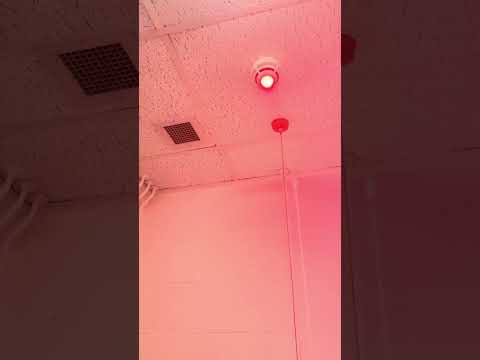 Real Fire Alarm, Start of Real Evacuation Video, Added By Demand