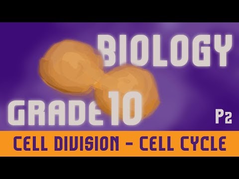 The Cell | Cell Division | Cell Cycle | Phases Of Cell Cycle [G1 phase, S phase & G2 phase] | Part 2
