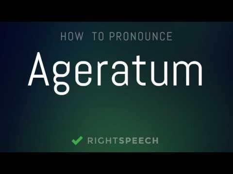 Ageratum - How to pronounce Ageratum