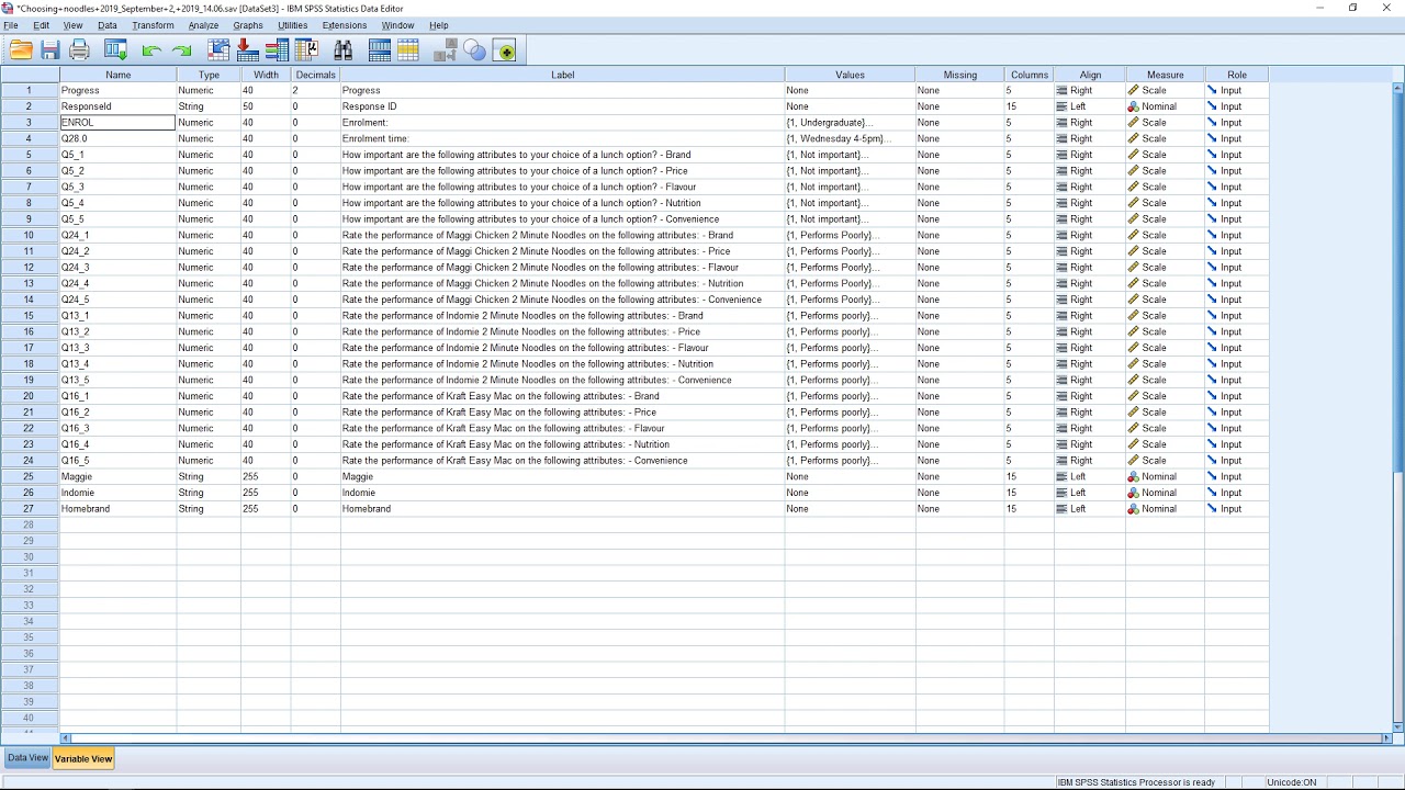 Qualtrics to SPSS: Data Cleaning