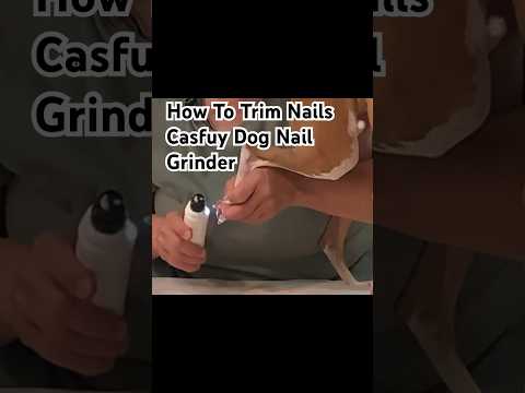 Casfuy Dog Nail Grinder- How To Trim Your Dog’s Nails
