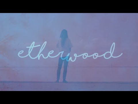Etherwood - Heterize