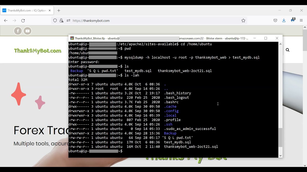 QuickTips: MySQL backup command line
