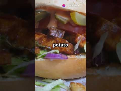 Top 5 Must-Try Restaurants in Gainesville, Florida