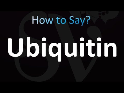 How to Pronounce Ubiquitin (correctly!)