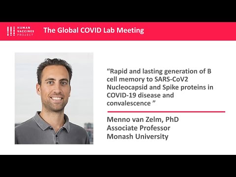 Dr. Menno van Zelm: B cell memory to SARS-CoV2 Nucleocapsid and Spike proteins in COVID-19 disease