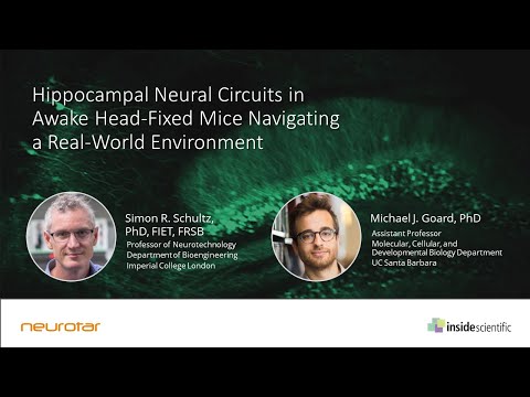 Hippocampal Neural Circuits in Awake Head-Fixed Mice Navigating a Real-World Environment
