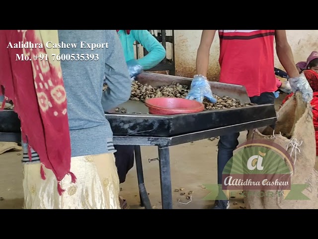 Automatic Cashew Shelling Machine - Fully Automatic Cashew Processing ...