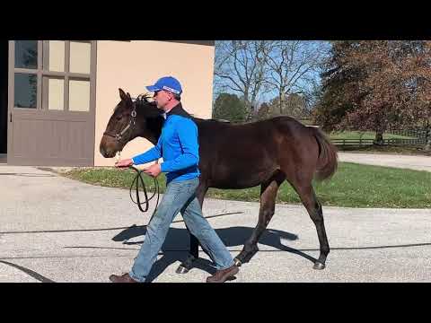 Clifford Barry on Collected