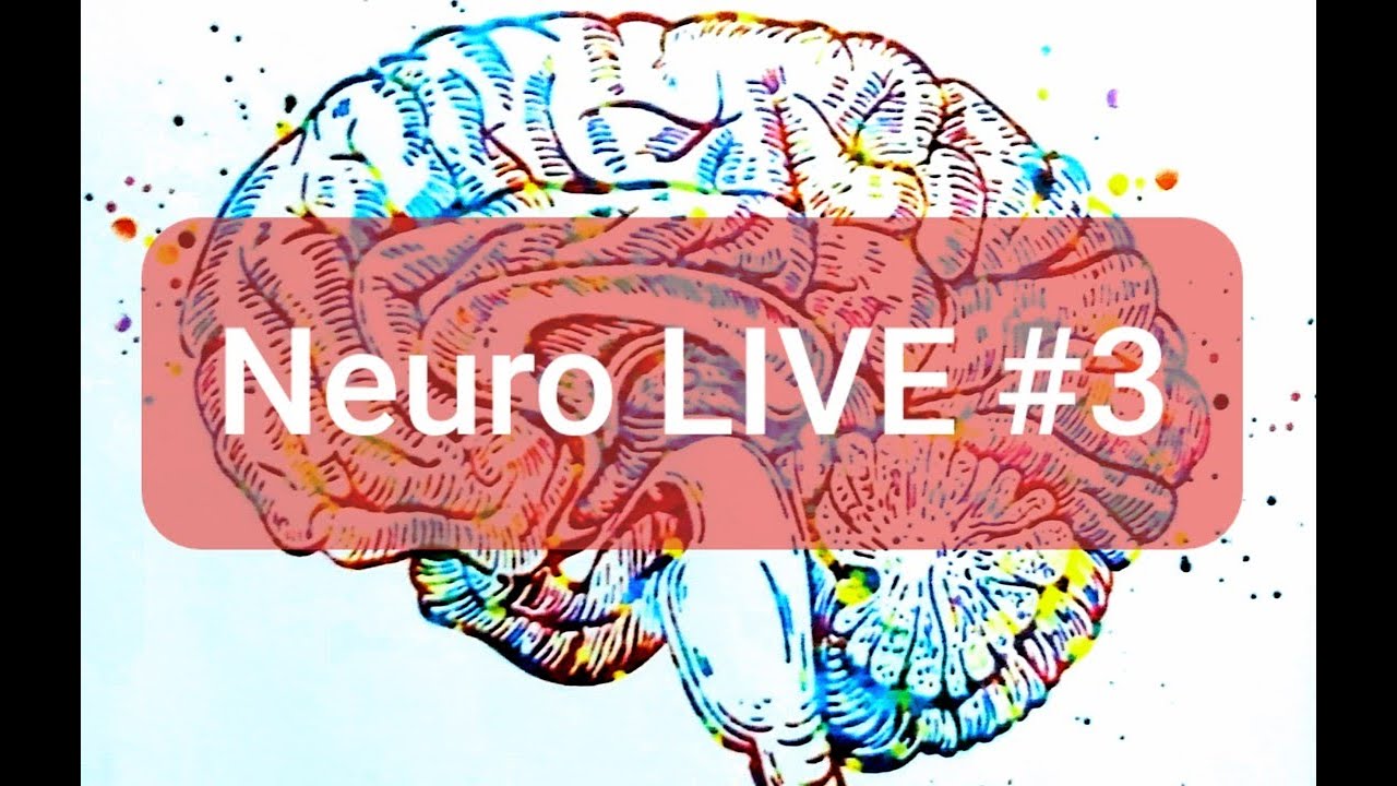 NEURO LIVE #3. CEREBRO Y MEMORIA