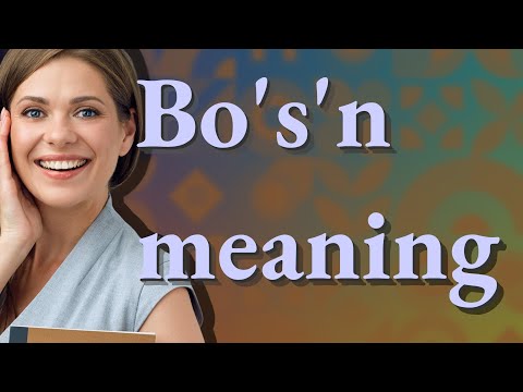 Bo's'n | meaning of Bo's'n