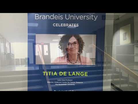 Brandeis University College Visit