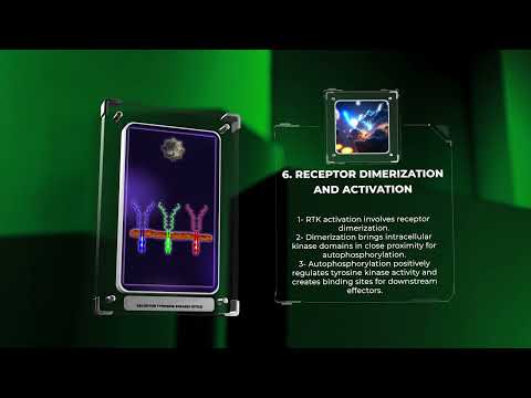 Molecular Biology - Receptor Tyrosine Kinases RTKs