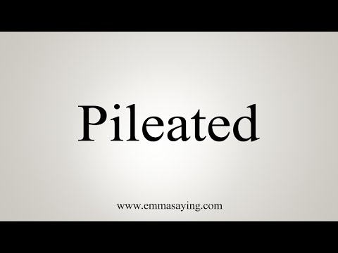 How To Say Pileated