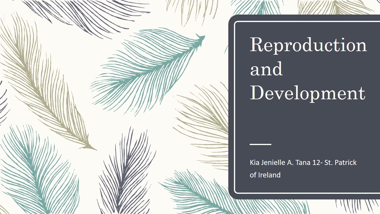 reproduction and development ppt