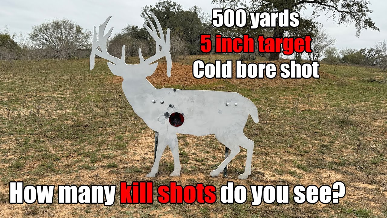 Ethical Hunter Challenge #6 - 500 yards cold bore