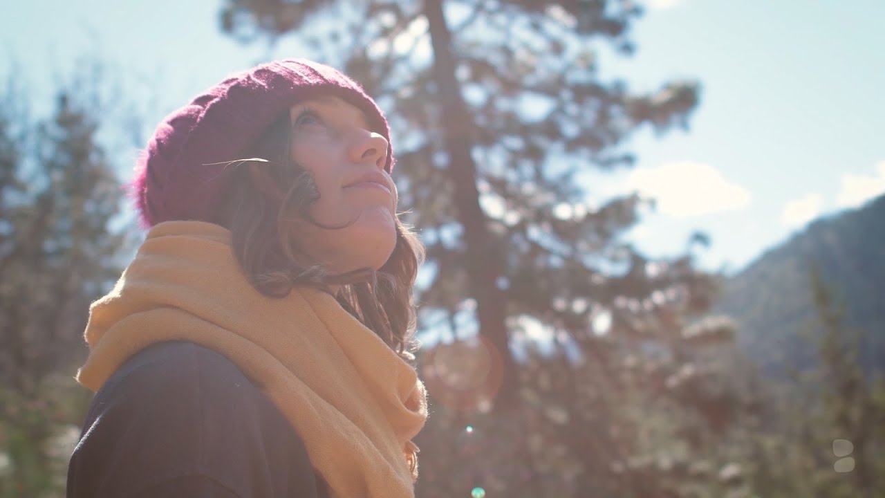 On Brassard's Farm by Daniel Hecht