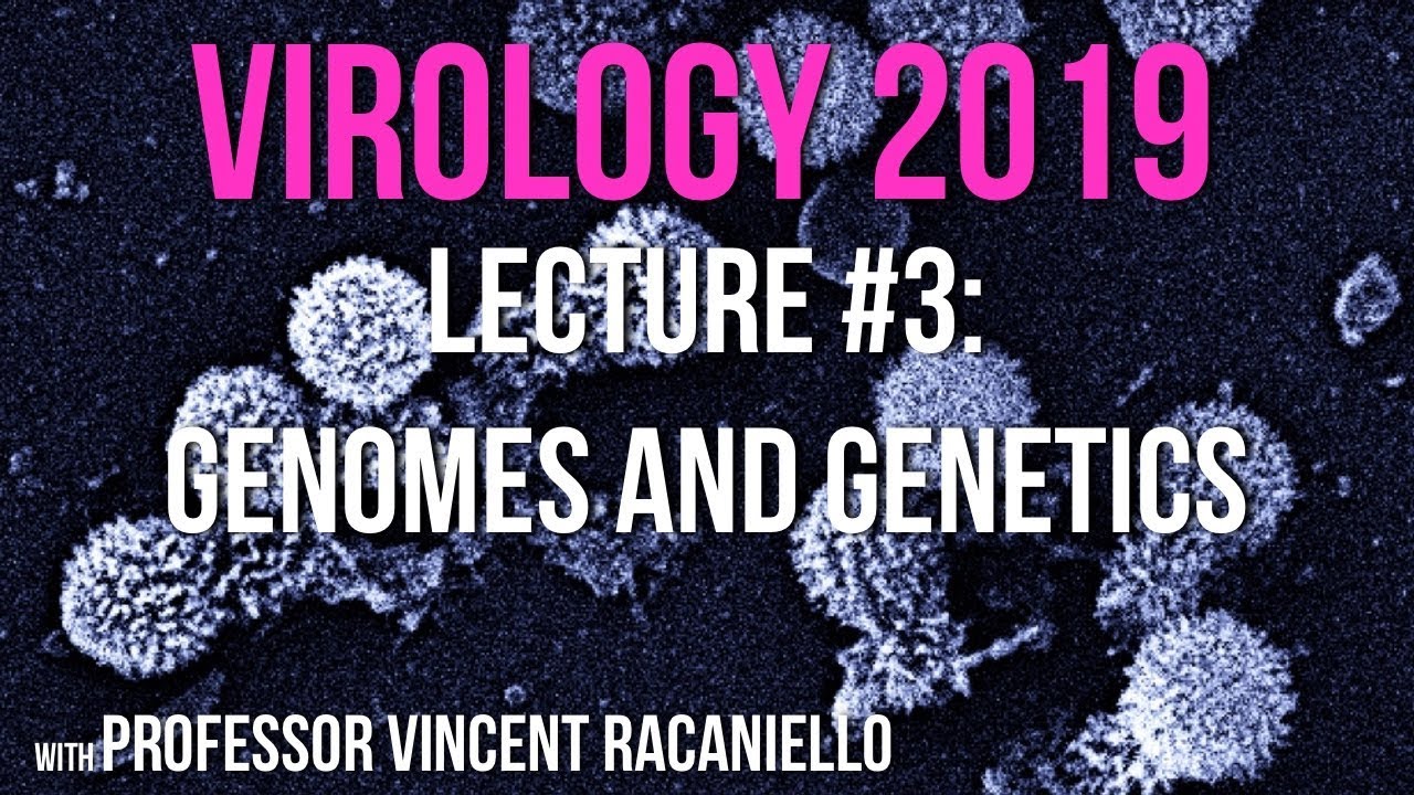 Virology Lectures 2019 #3: Genomes and Genetics