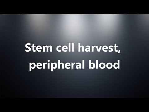 Stem cell harvest, peripheral blood - Medical Definition and Pronunciation