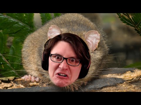 Pirate Software Is A Rat #StopKillingGames